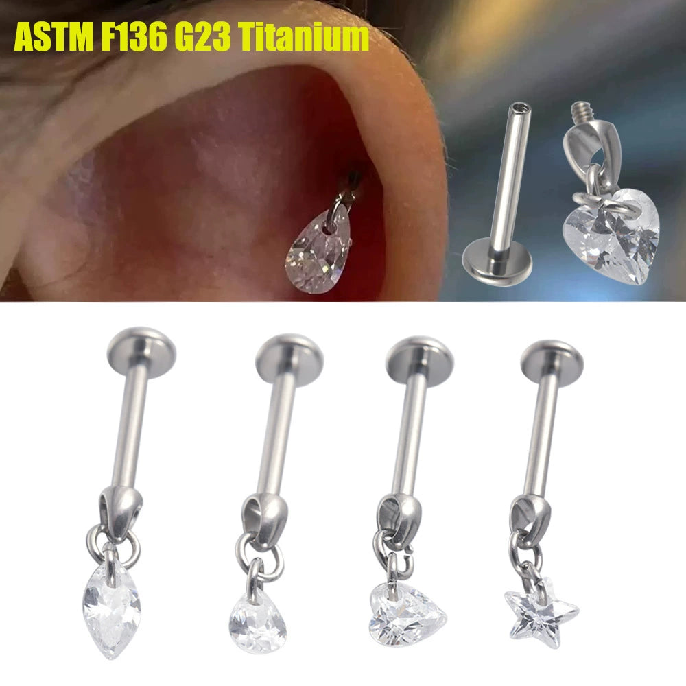 Titanium Lip Nail Ear Bone Nail Fashion Piercing Earrings With ...